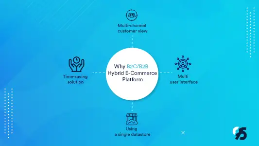 Code95 | What is a B2C/B2B Hybrid E-Commerce Platform?